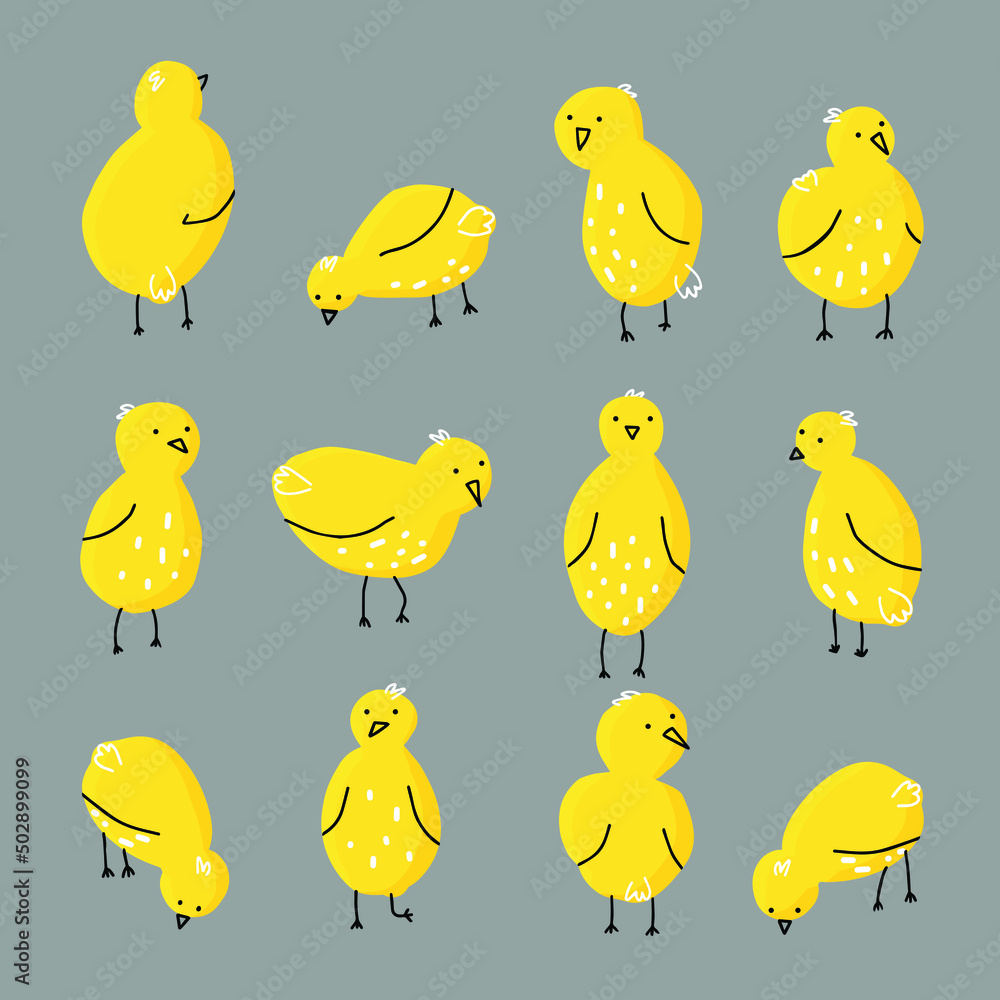 set of cute simple yellow chicks in different poses isolated vector ...