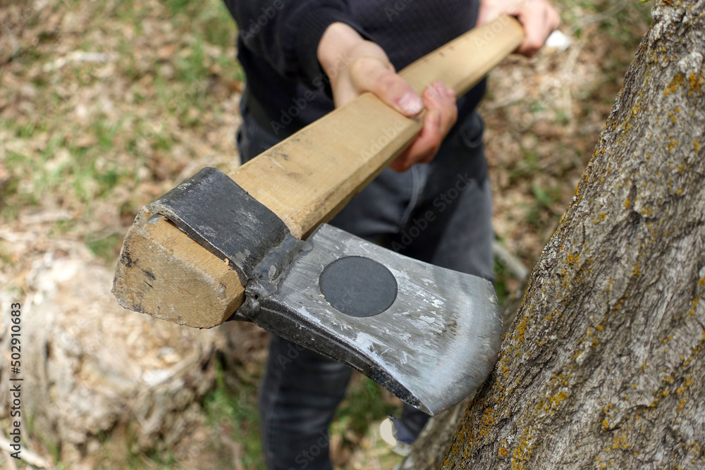 felling trees with an ax, tree slaughter, cutting trees without ...