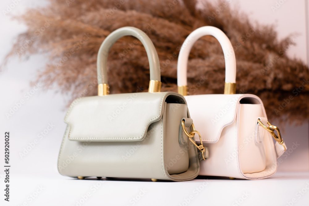 fashion photo of two purse. beige and green woman handbag with gold ...