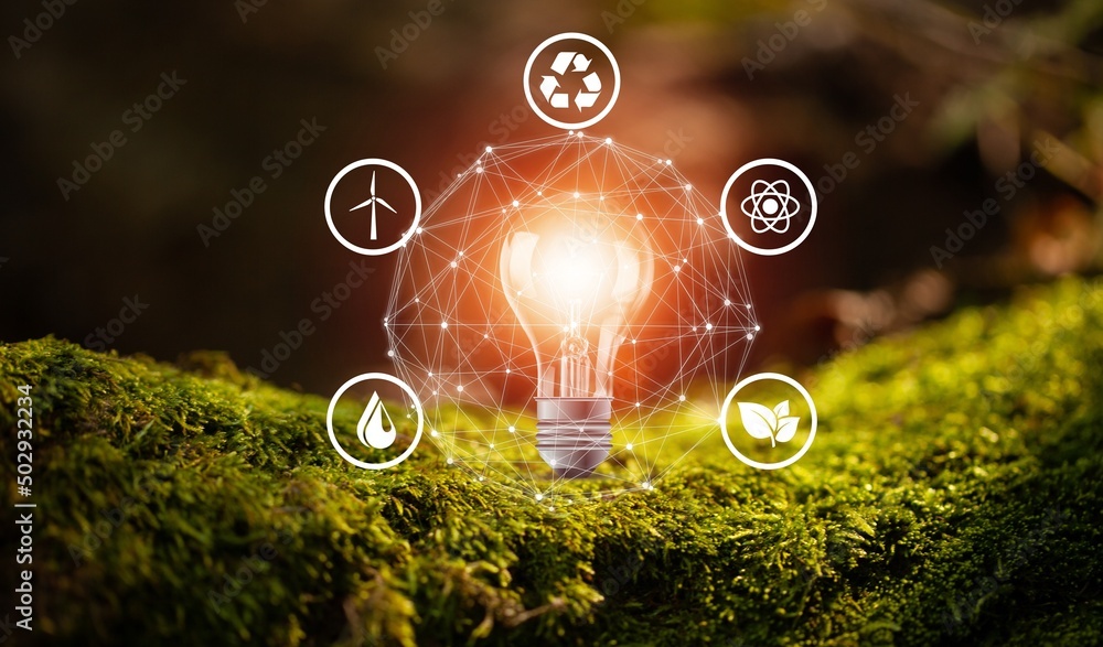 Green forest with moss and grass with lightbulb. Symbols of sustainable ...