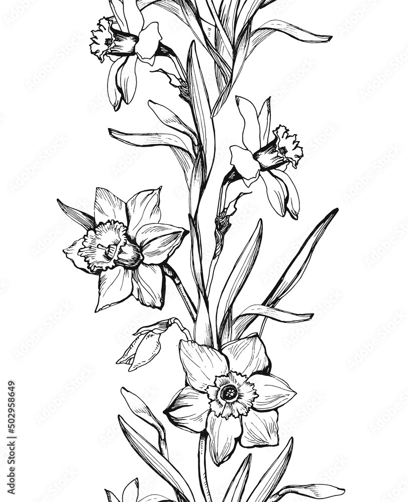 Botanical seamless border with outline hand drawn elegant flowers ...