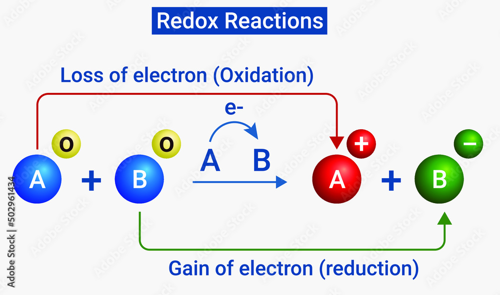 Redox reactions are characterized by the actual or formal transfer of ...