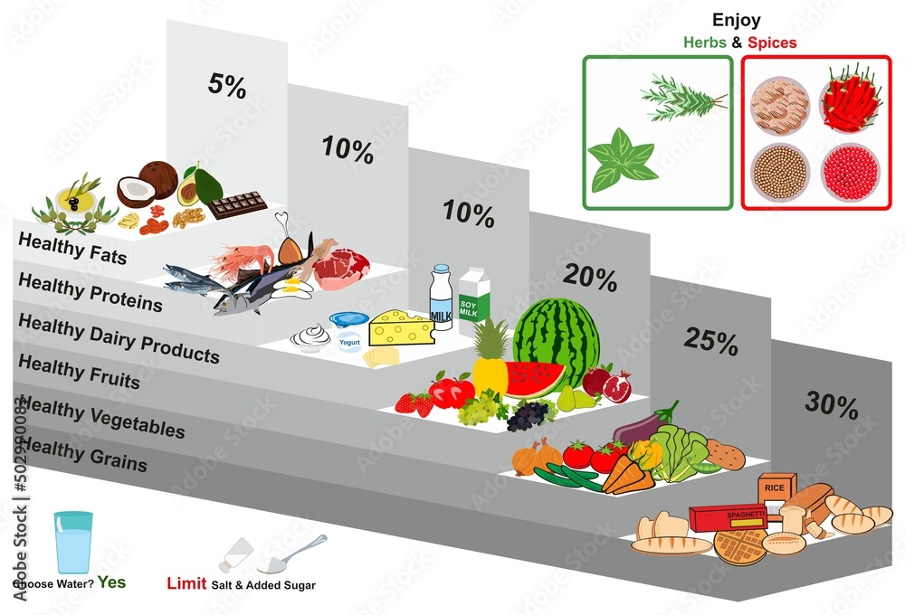 Healthy food pyramid infographic diagram groups of fats proteins dairy ...