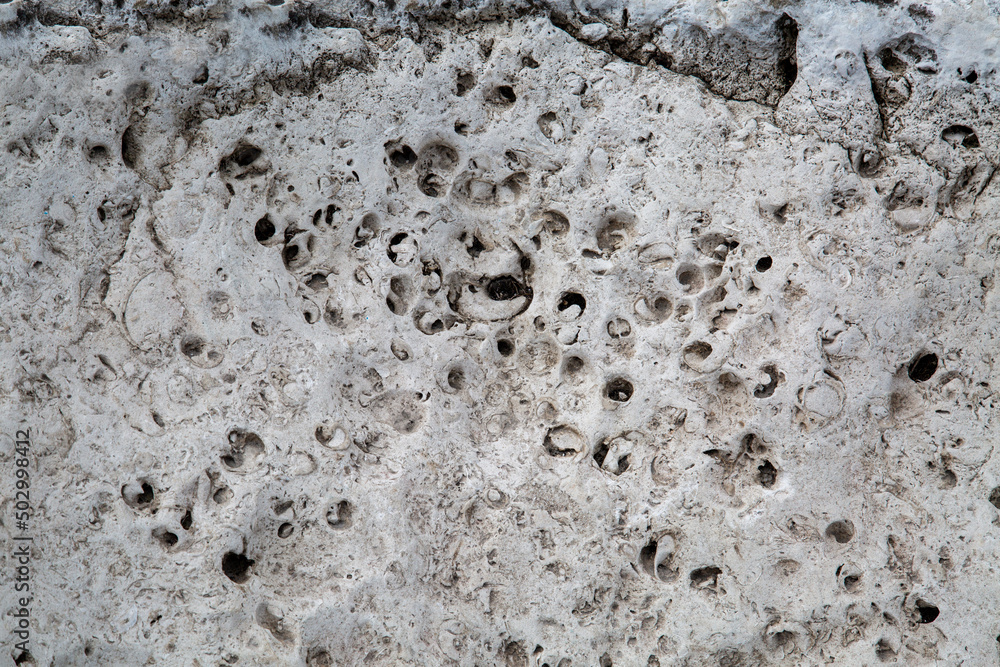 The background is made of white karst rocks with a beautiful pattern of ...