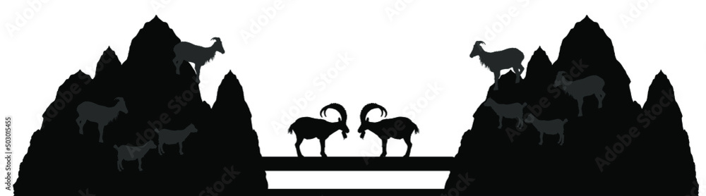 Two bighorn male goats on chump fighting vector silhouette illustration ...