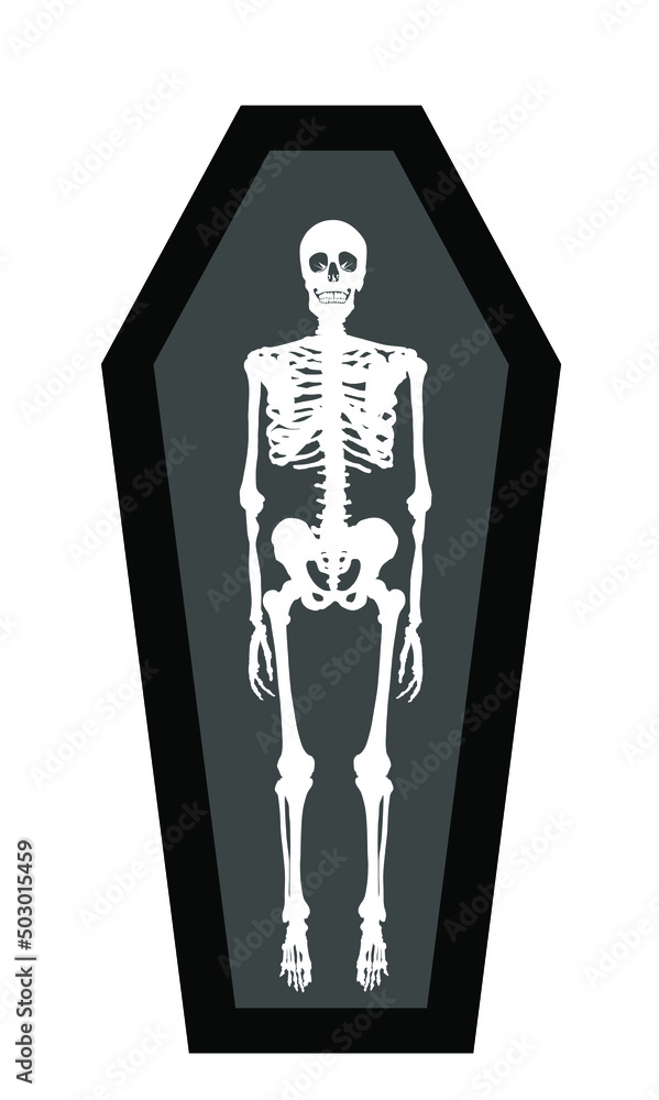Human skeleton in coffin vector silhouette illustration isolated on ...
