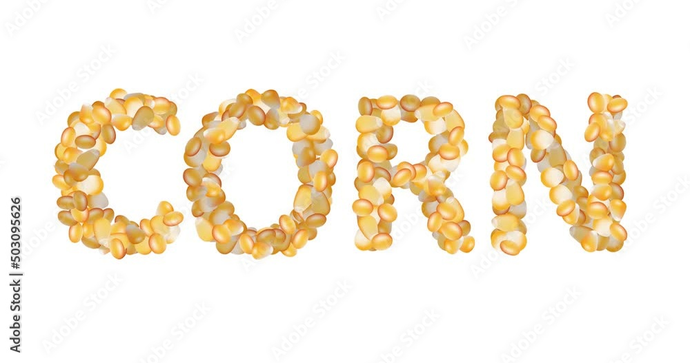 Many corn grains on white background. Yellow sweet corn seeds ...