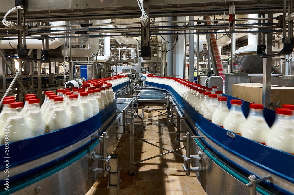 Plastic bottles filled with pasteurized milk on a factory conveyor ...