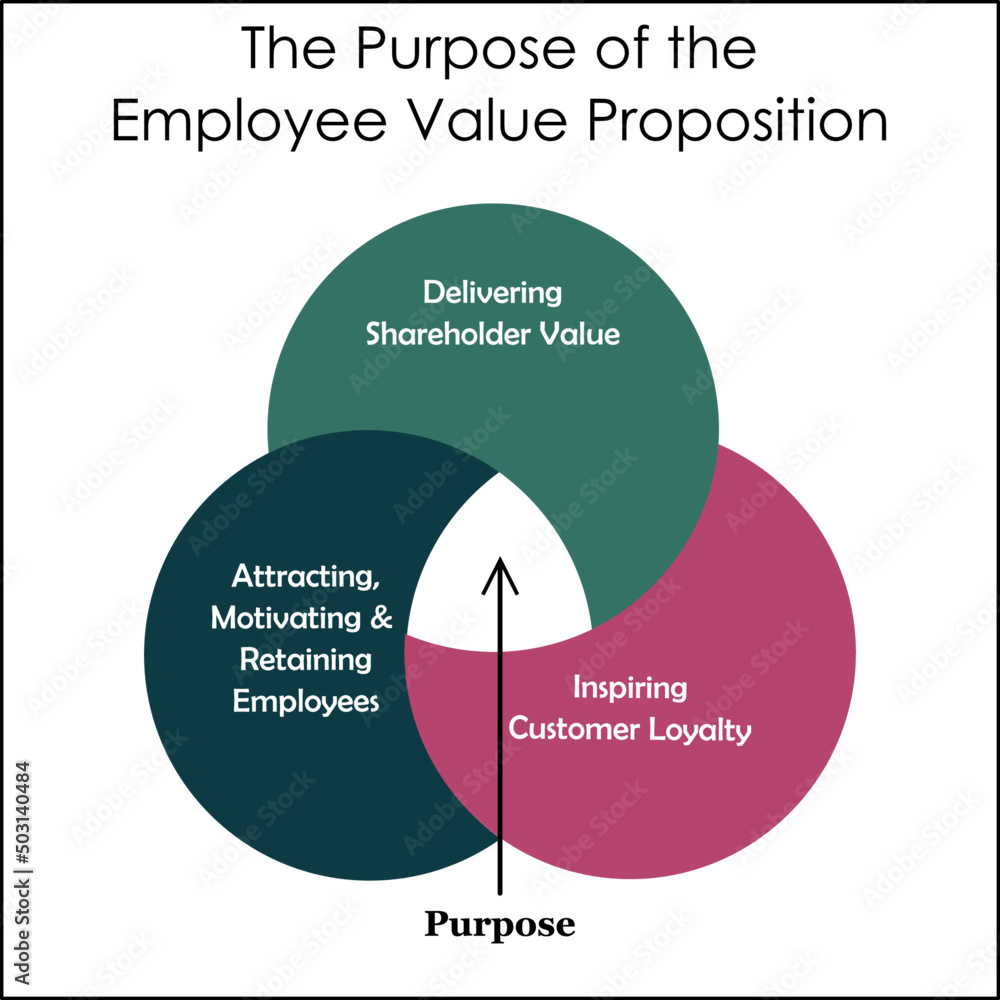 The purpose of the Employee Value Proposition in an Infographic ...