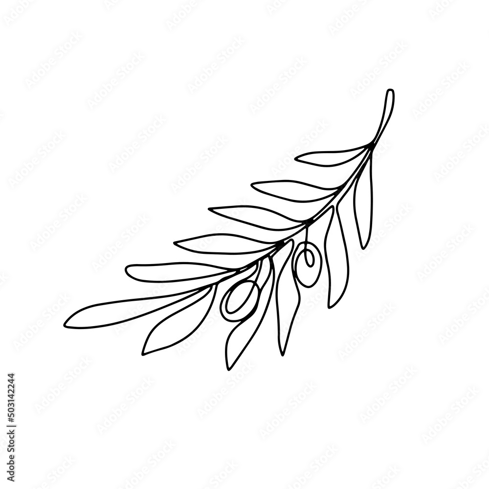 Hand drawn olive branch isolated on white background. Outline olive ...