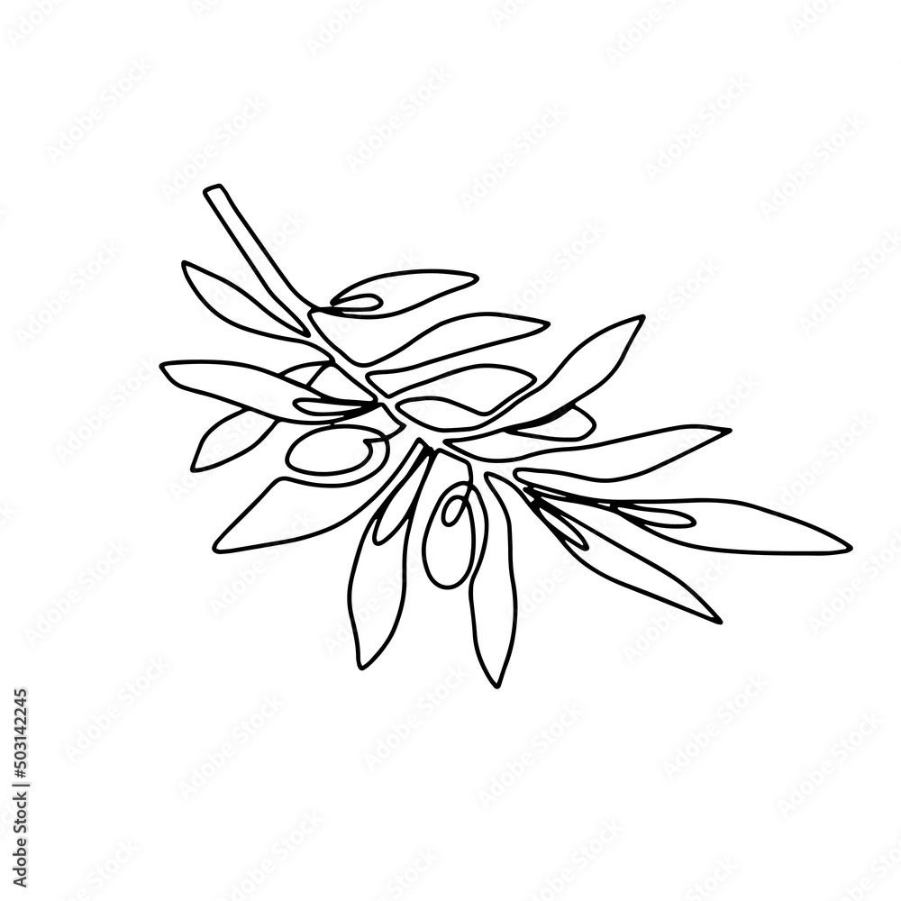 Hand drawn olive branch isolated on white background. Outline olive ...
