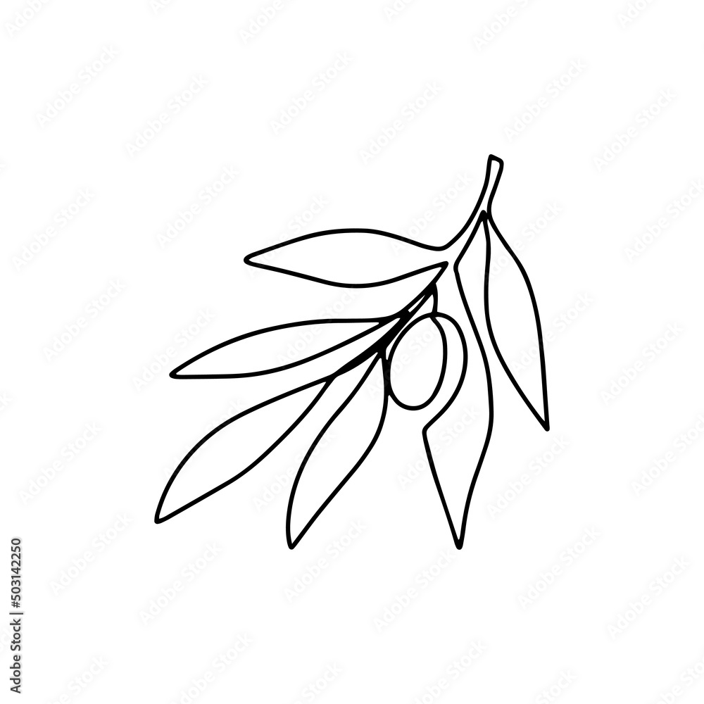 Hand drawn olive branch isolated on white background. Outline olive ...