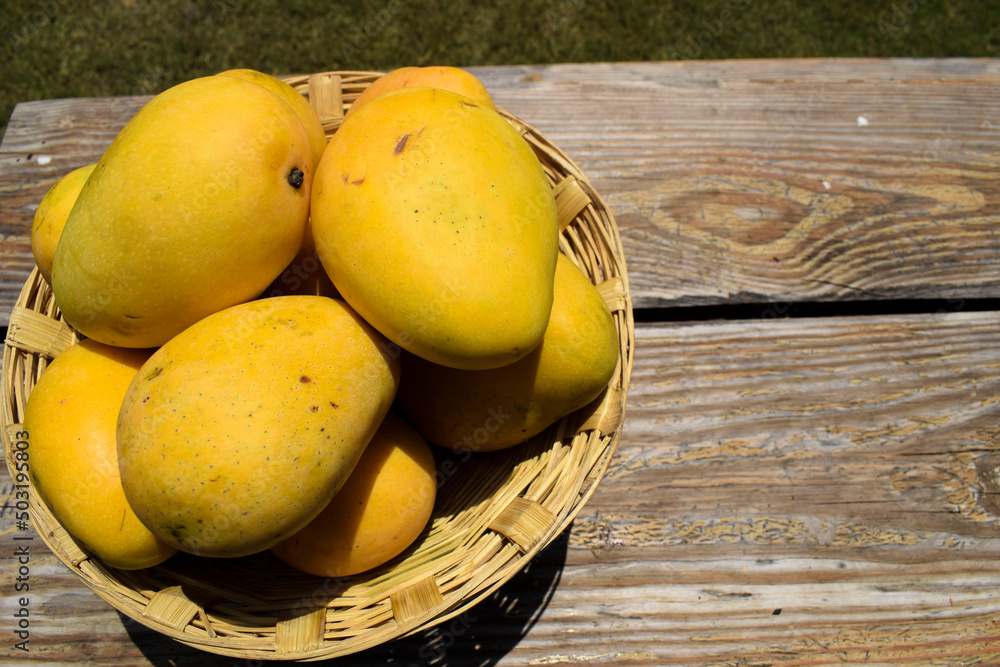 Tasty Indian Mangoes in Basket. Badami mango fruit sweet in taste also ...