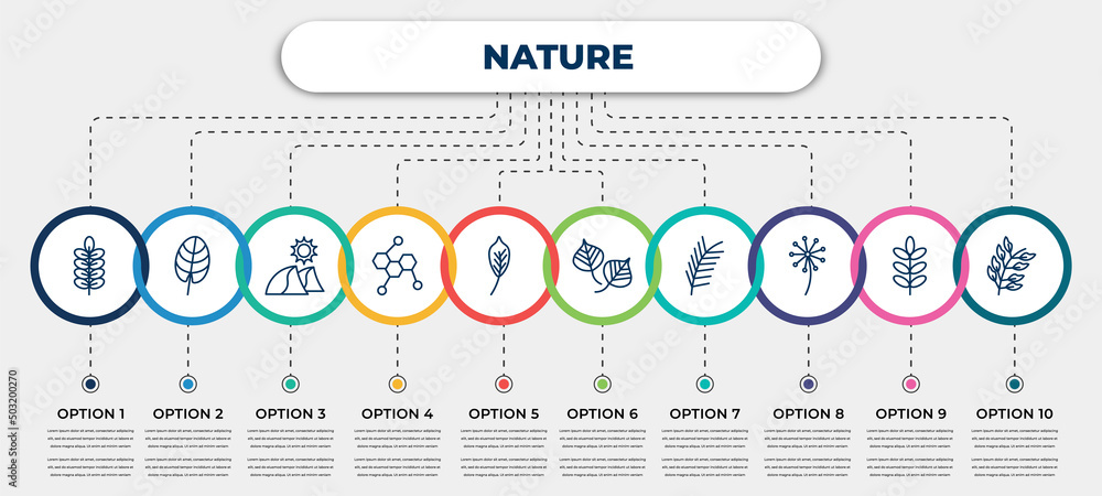 vector infographic template with icons and 10 options or steps ...