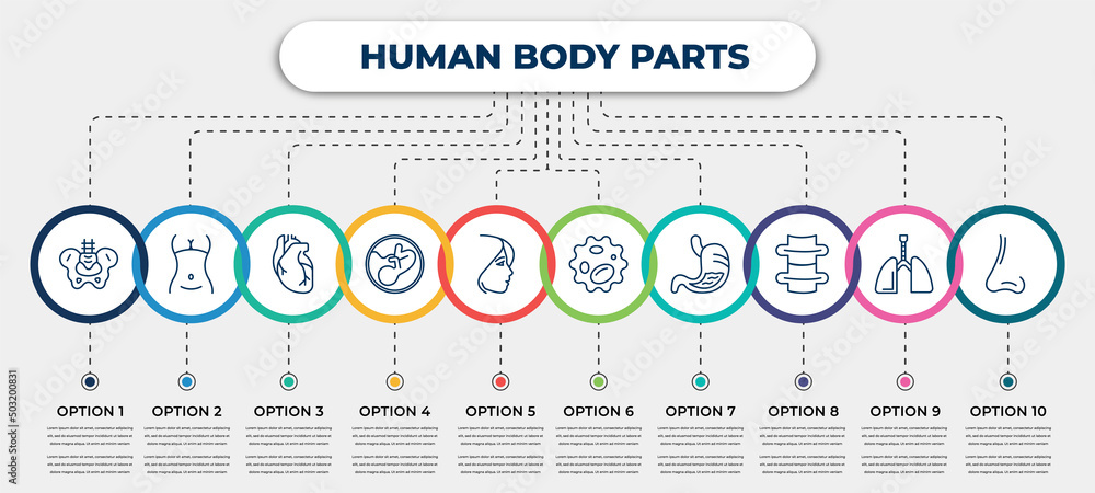 vector infographic template with icons and 10 options or steps ...