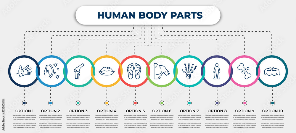 vector infographic template with icons and 10 options or steps ...
