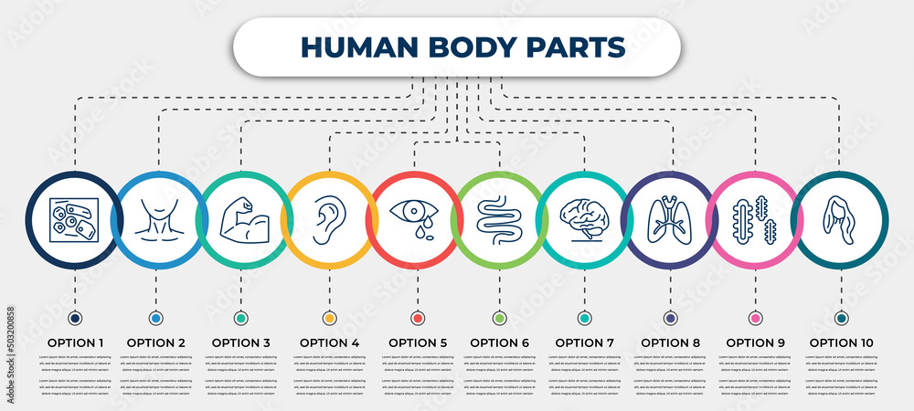 vector infographic template with icons and 10 options or steps ...