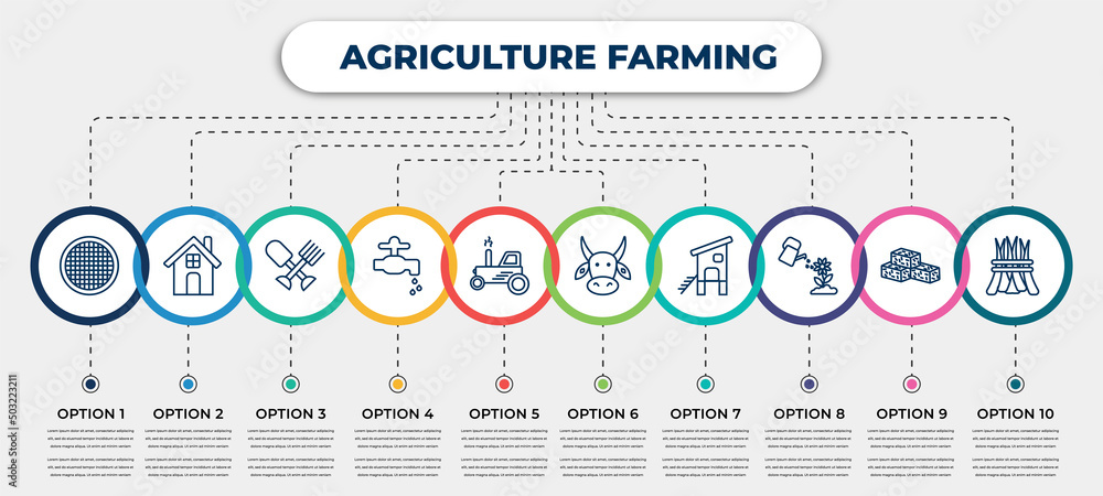 vector infographic template with icons and 10 options or steps ...