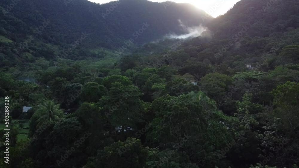 Un hermoso y frio amanecer en medio de la selva de la reserva de la ...