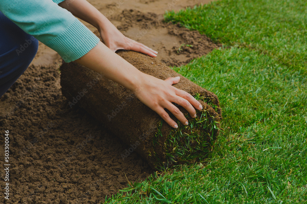 Lawned garden Stock Photo | Adobe Stock