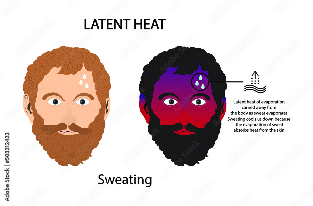 illustration of biology and medical, Latent heat, Heat Transfer from ...