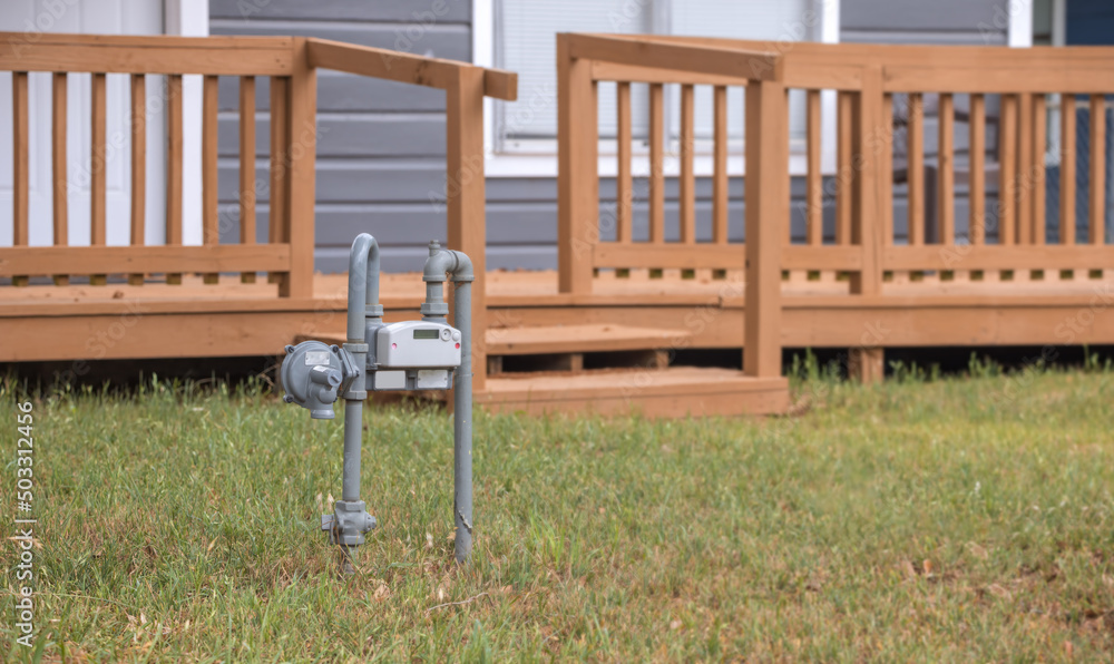 Gas meter in front of house. Residential hosing natural gas consumption ...