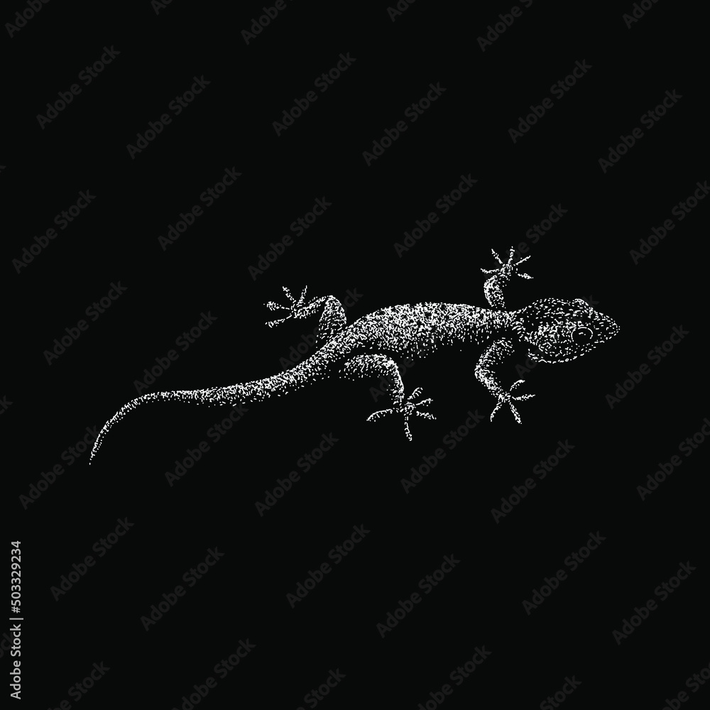 gecko hand drawing vector illustration isolated on black background ...