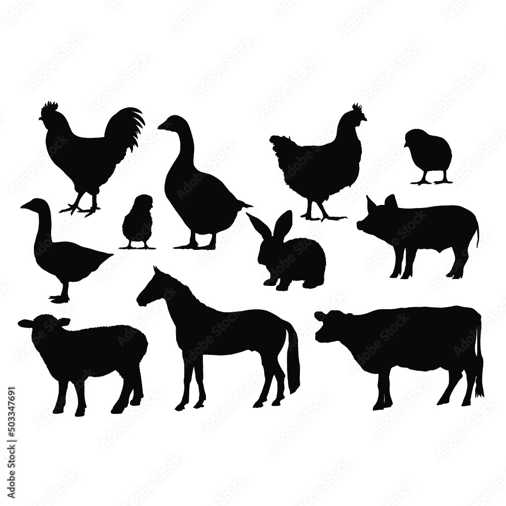 farm animals collection vector, Farm animals, clipart, art, Farm ...