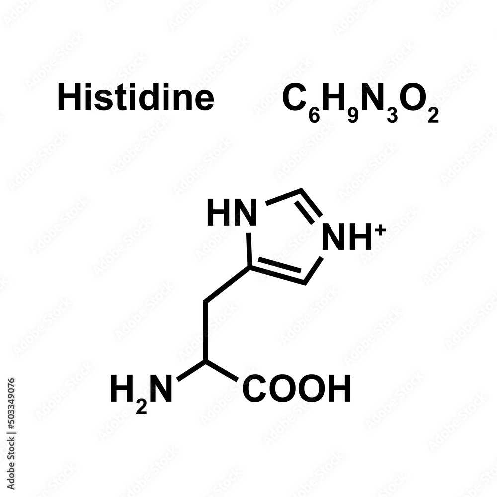 Histidine Amino Acid Structure