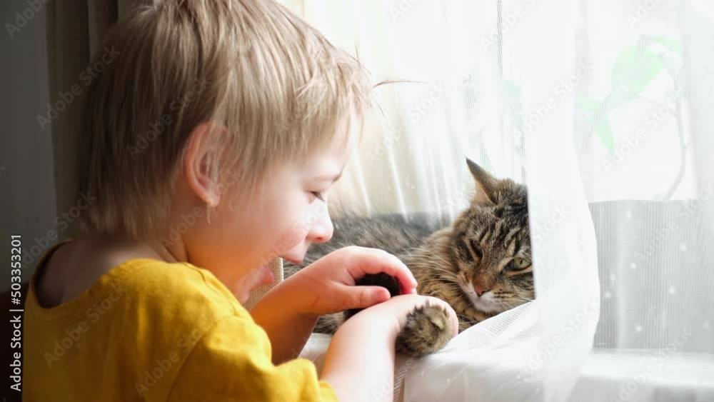 Kitten bites and scratches in a game with a little boy. Sharp claws of ...
