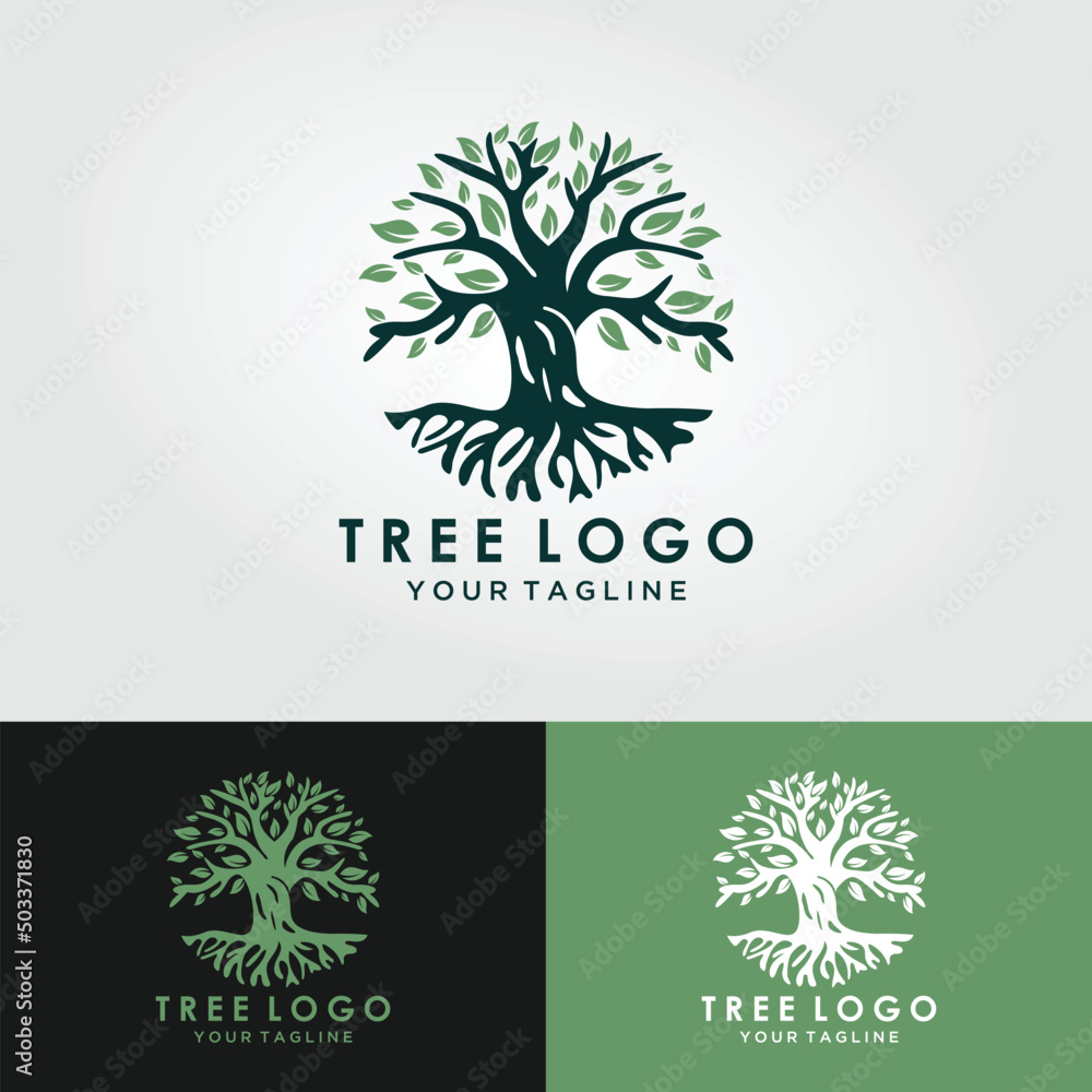 Abstract living tree logo design, roots vector - Tree of life logo ...