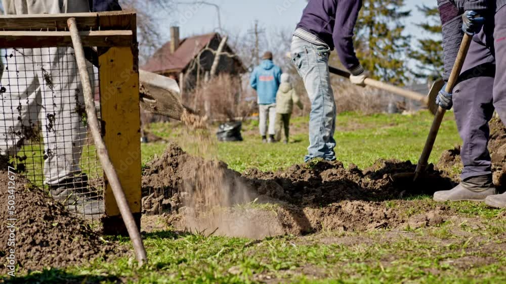 Farmers prepare dug hole before planting tree, fill fertile land with ...