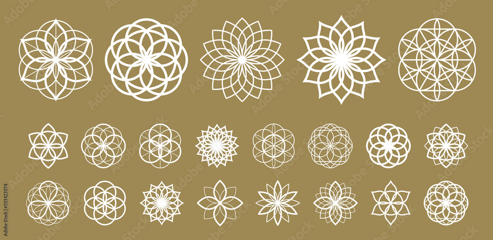 Flower Of Life Vector File | Best Flower Site