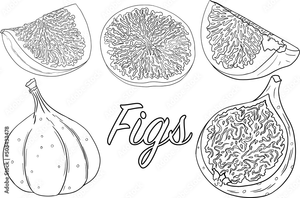 Vector figs. Fruit product for juice or jam label, packaging sticker ...