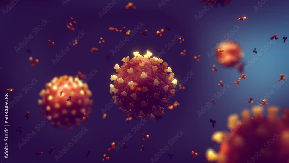Animation of immune system's antibodies (immunoglobulin) attacking and ...