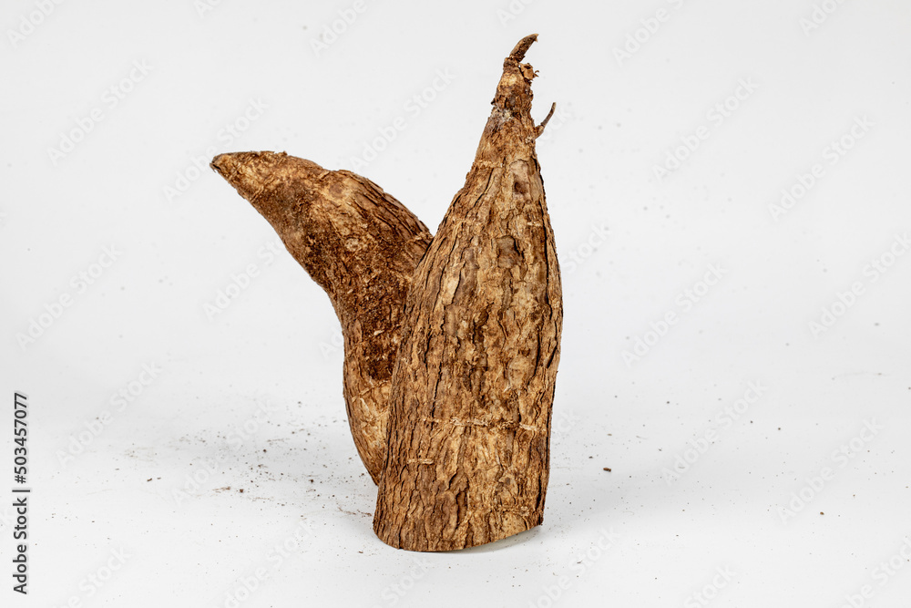 Tapioca / Kappa - roots of the cassava plant, cut and whole isolated in ...