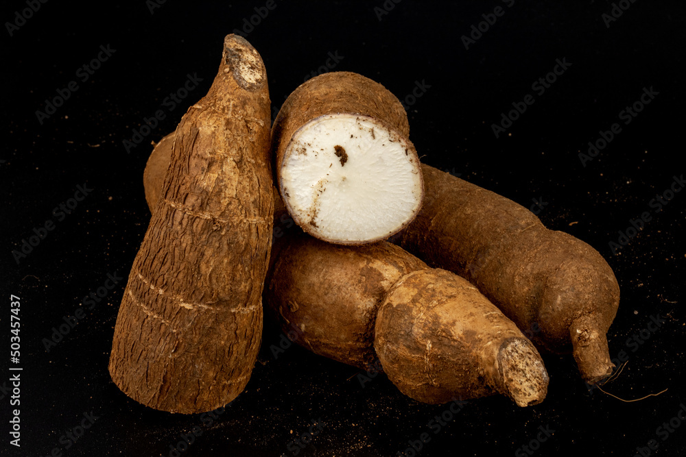 Tapioca / Kappa - roots of the cassava plant, cut and whole isolated in ...