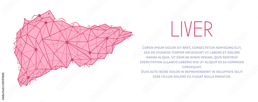 Polygonal human liver made of red lines and dots. Medical research of ...