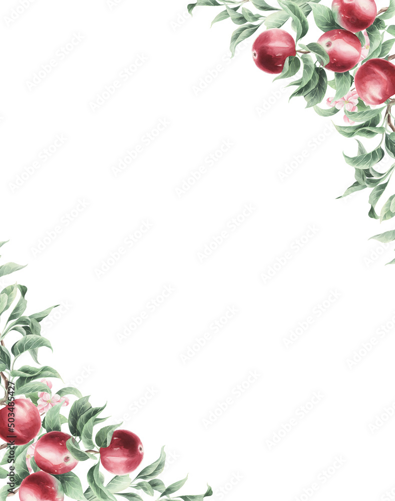 Watercolor red apples border isolated on a transparent background ...