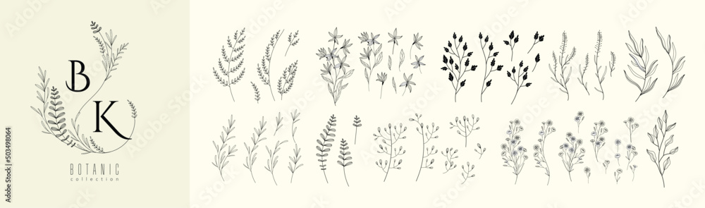 Floral branch and minimalist leaves for logo or tattoo. Hand drawn line ...