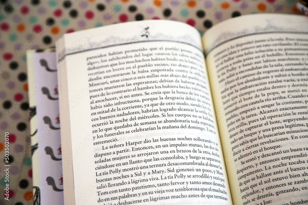 Open book. Reading. Literature. Spanish writing. Classic novel. Letters ...