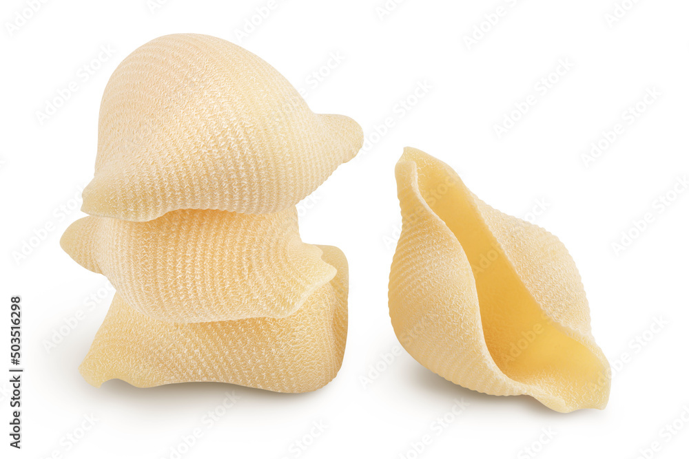 Conchiglioni italian pasta isolated on white background with clipping ...