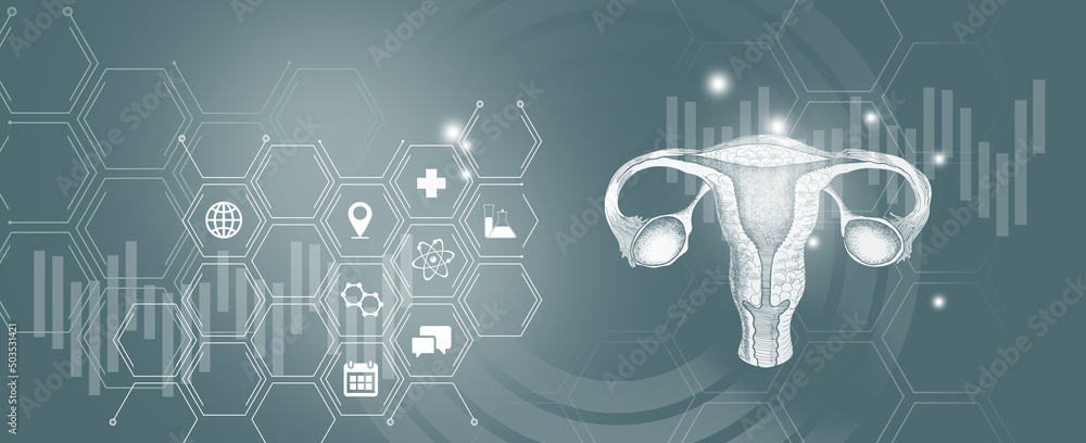 Graphic illustration of Uterus organ visualization. Healthcare concept ...