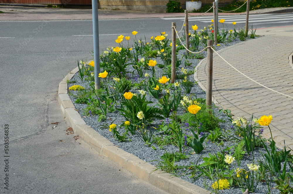 ornamental flower beds on a regular floor plan in the middle of a ...