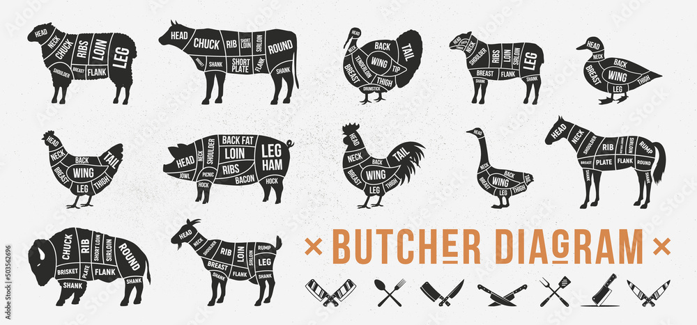 Butcher diagrams of meat cuts. Horse, Goat, Lamb, Pork, Duck, Chicken ...