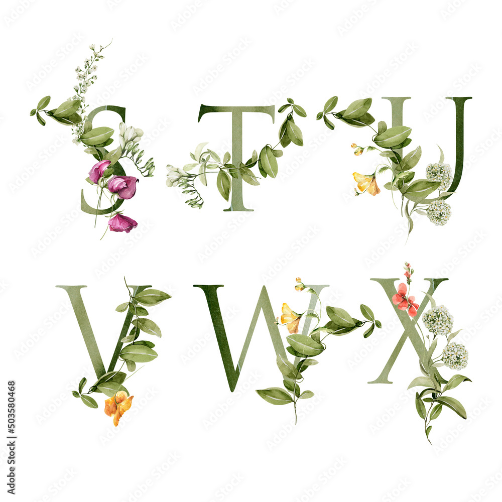 Watercolor floral alphabet. Hand painted letters, numbers with field ...
