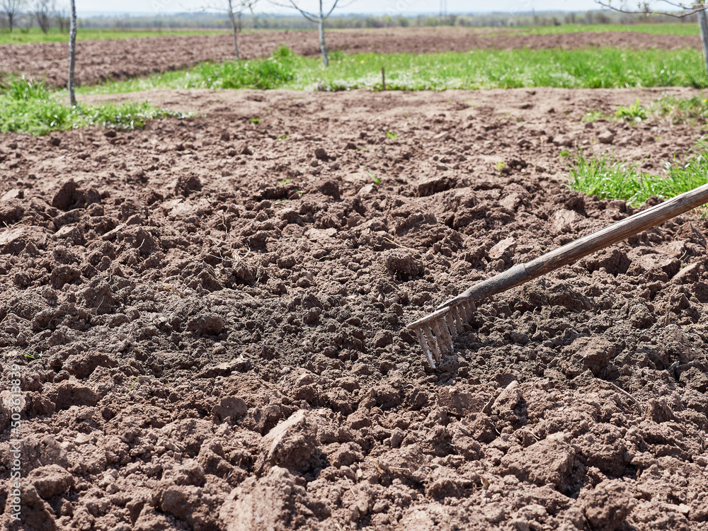 Manual tillage. Preparing the soil for planting. Stock Photo | Adobe Stock
