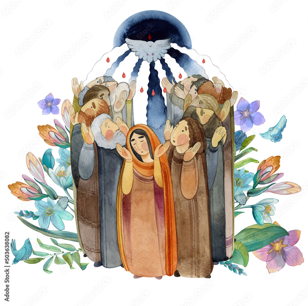 Holy Spirit Flower Panama Pentecost | Best Flower Site