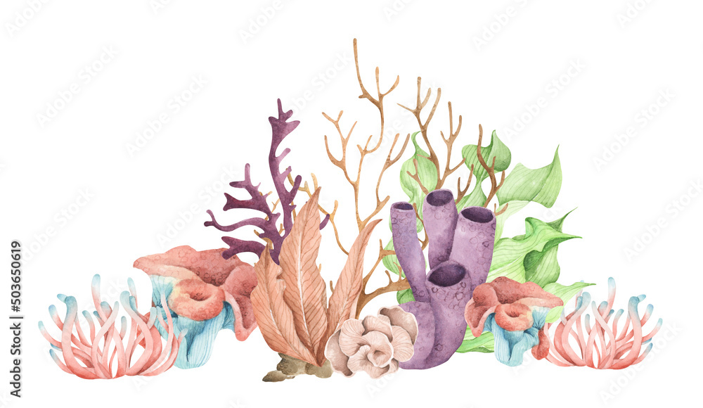 Types Saltwater Plants