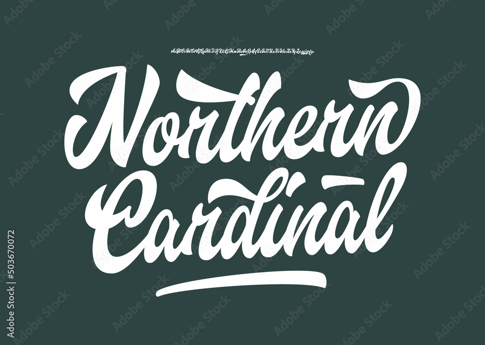Northern Cardinal. Original Brush Script Font. Retro Typeface. Vector ...